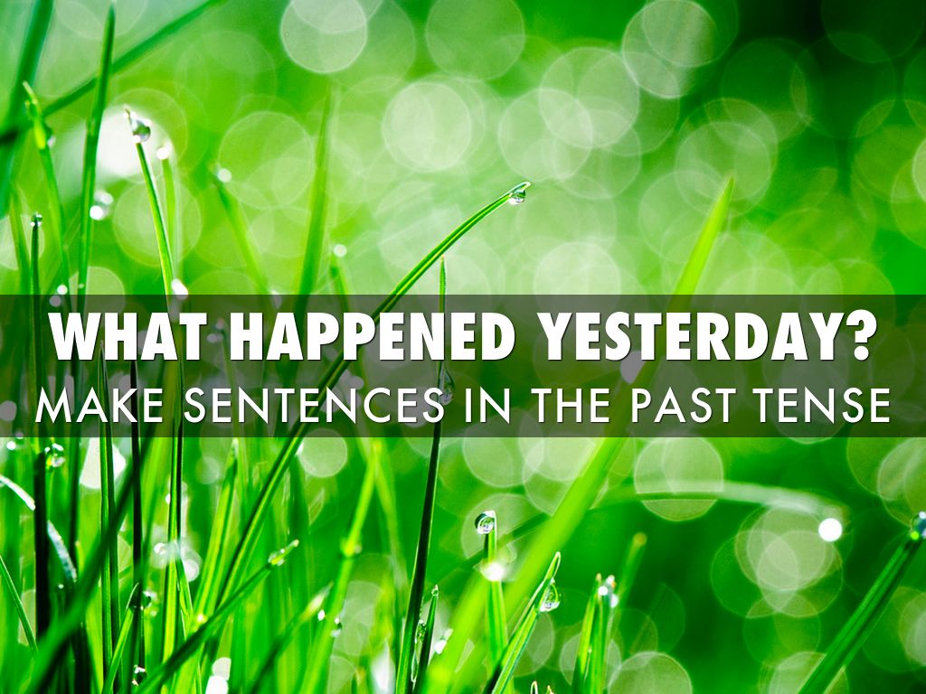Past Tense By Zia Nuolen past-tense-by-zia-nuolen